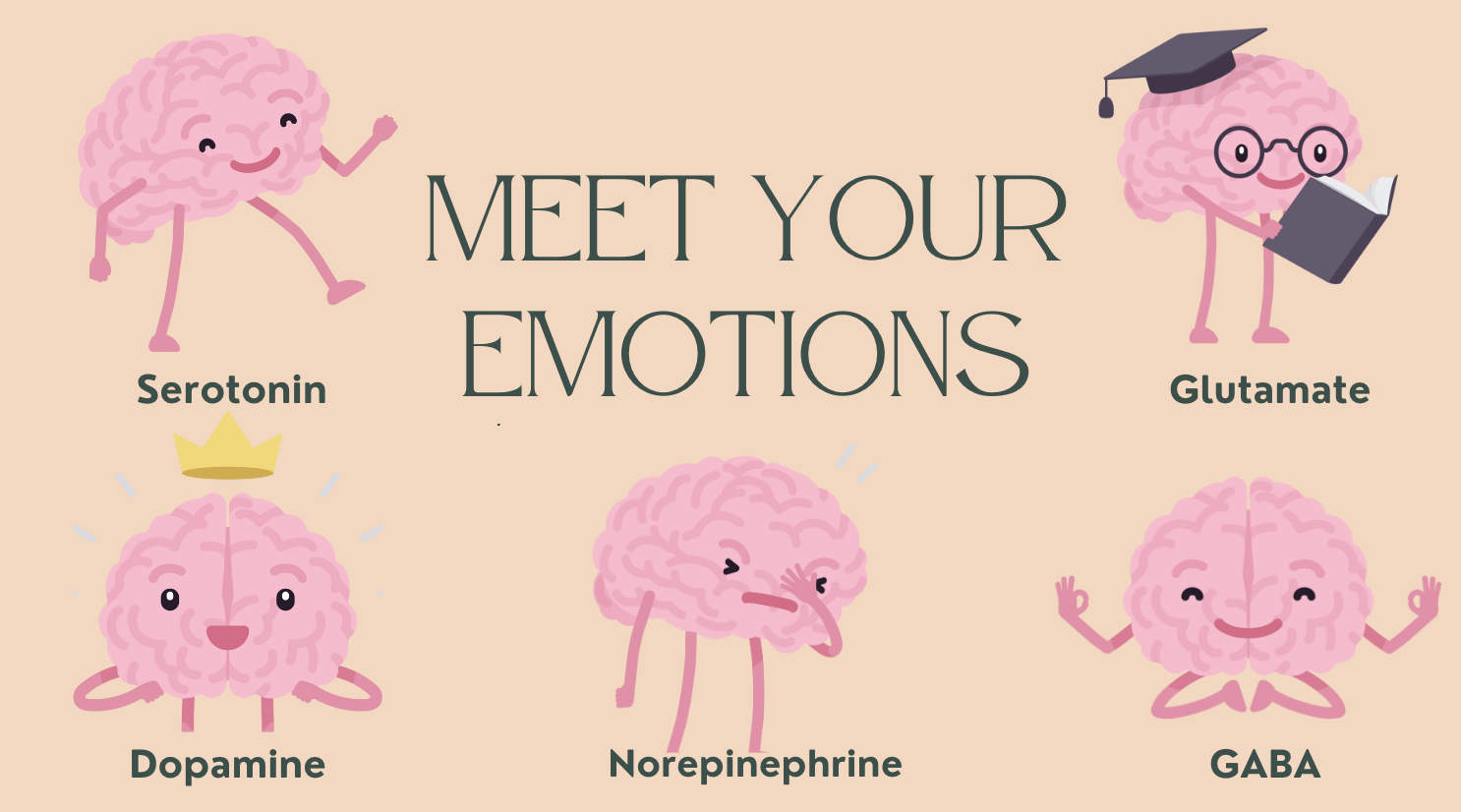 Neurotransmitters | Spoons